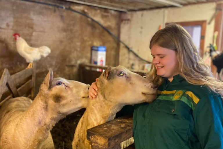 Beredskapsvenn er årets ord: Sjå dei 10 nyorda til Språkrådet