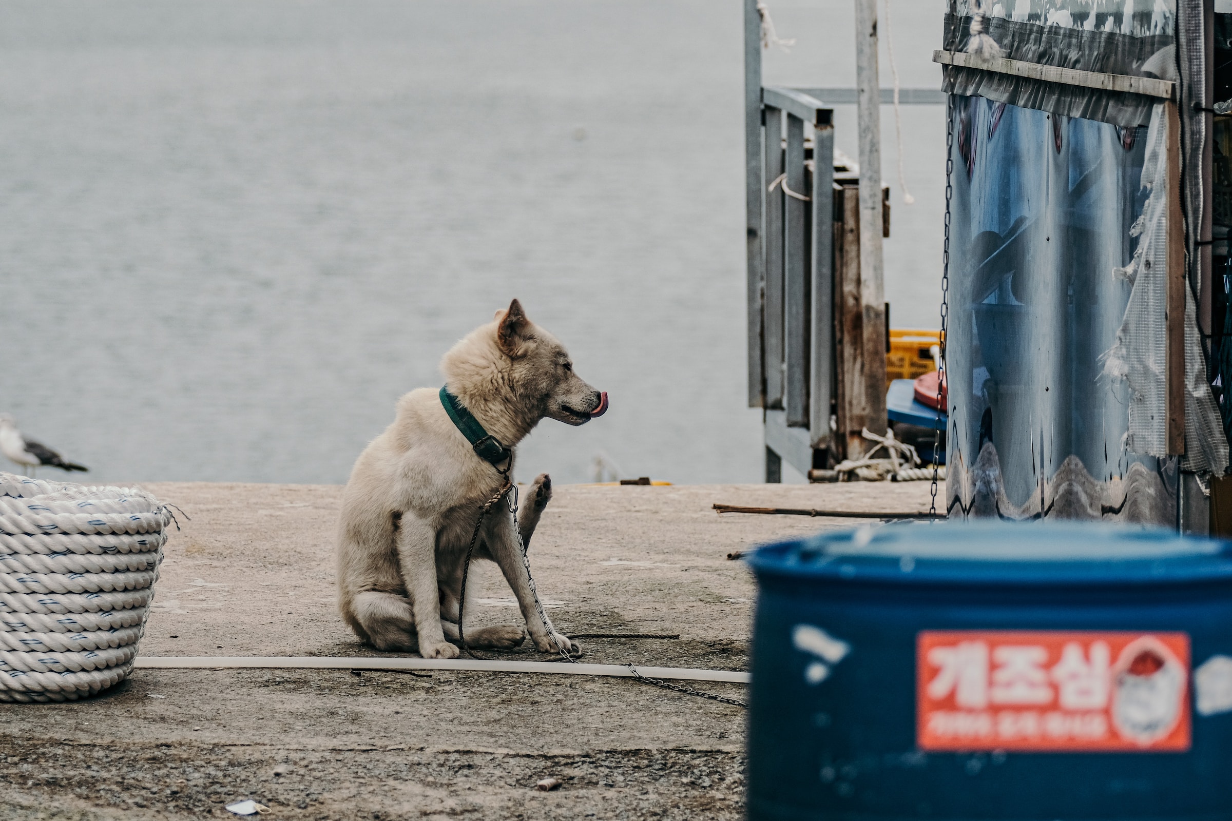 insung-yoon-AFyyarckVEg-unsplash