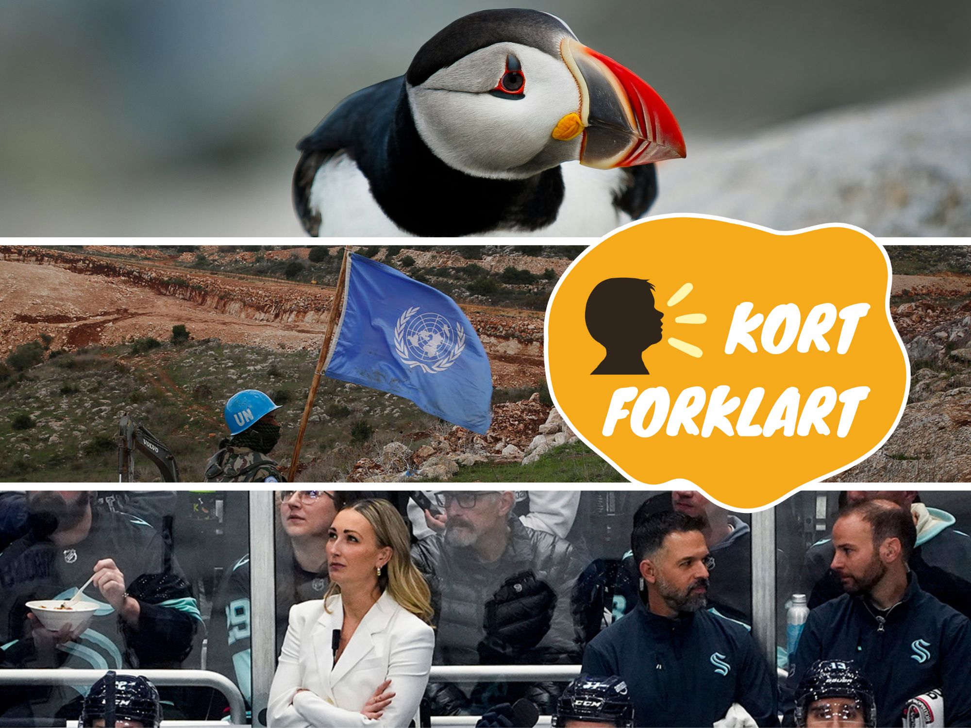 Vekas viktigaste: Naturtap, statsbudsjett og skjerpa trusselnivå